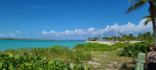 2023 Best Views Trails in Castaway Cay | AllTrails