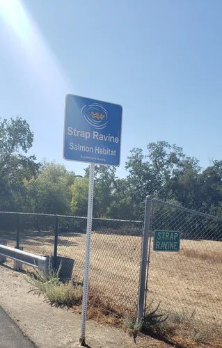 Best Hikes and Trails in Maidu Regional Park | AllTrails