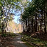 Cotton Valley Rail-Trail, New Hampshire - 687 Reviews, Map | AllTrails