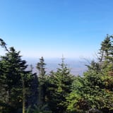 Mount Cabot Loop, New Hampshire - 834 Reviews, Map | AllTrails