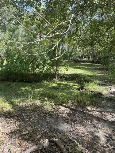 2023 Best Easy Trails in Jean Lafitte National Historical Park and ...