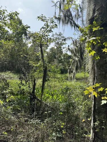 2023 Best Easy Trails in Jean Lafitte National Historical Park and ...