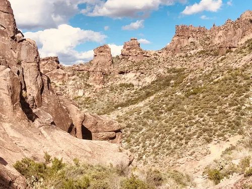 10 Best Trails and Hikes in Apache Junction | AllTrails