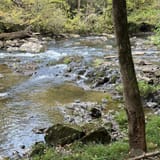 Laurel River Trail, North Carolina - 1,310 Reviews, Map | AllTrails