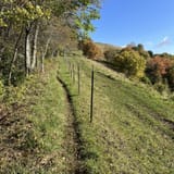Hemphill Bald Trail, North Carolina - 362 Reviews, Map | AllTrails