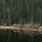 Monarch Lake Loop, Colorado - 2,254 Reviews, Map | AllTrails