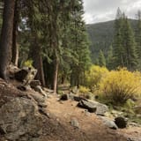 Monarch Lake Loop, Colorado - 2,254 Reviews, Map | AllTrails
