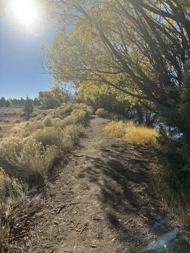 2023 Best Walking Trails in Powell Butte | AllTrails