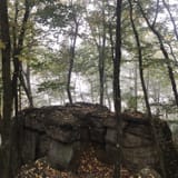 Lake Scranton Loop, Pennsylvania - 662 Reviews, Map | AllTrails