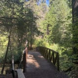 Jenkinson Lake Loop, California - 2,450 Reviews, Map | AllTrails