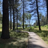 Jenkinson Lake Loop, California - 2,450 Reviews, Map | AllTrails
