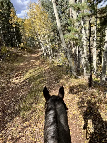 Best Hikes and Trails in Dome Rock State Wildlife Area | AllTrails