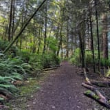 Cook's Ridge and Gwynn Creek Loop, Oregon - 738 Reviews, Map | AllTrails