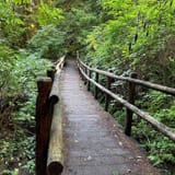 Cook's Ridge and Gwynn Creek Loop, Oregon - 738 Reviews, Map | AllTrails