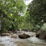 Palo Maria Waterfall, Jalisco, Mexico - 349 Reviews, Map | AllTrails