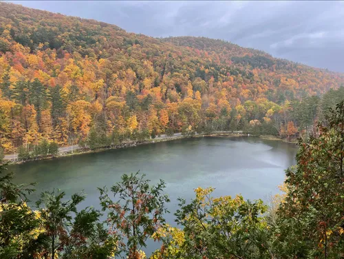 Best Hikes and Trails in Beaver Pond Trails | AllTrails