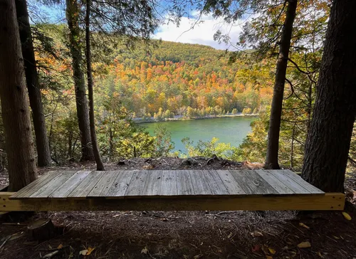 Best Hikes and Trails in Beaver Pond Trails | AllTrails