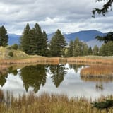 Beaver Ponds Loop Trail, Montana - 1,118 Reviews, Map | AllTrails