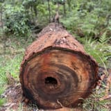 Griffith Falls via Ferndale Road, Victoria, Australia - 33 Reviews, Map ...