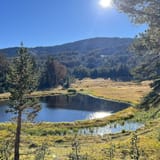 Tamarack Peak Loop, Nevada - 875 Reviews, Map | AllTrails