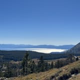 Tamarack Peak Loop, Nevada - 875 Reviews, Map | AllTrails