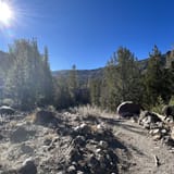 Tamarack Peak Loop, Nevada - 875 Reviews, Map | AllTrails