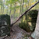 Morrison and Rimrock Trail Loop, Pennsylvania - 546 Reviews, Map ...