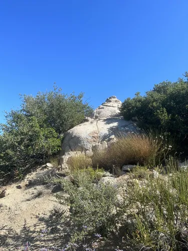 Best Hikes and Trails in Potrero County Park | AllTrails