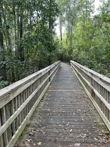 Best Hikes and Trails in Alpine Groves Park | AllTrails