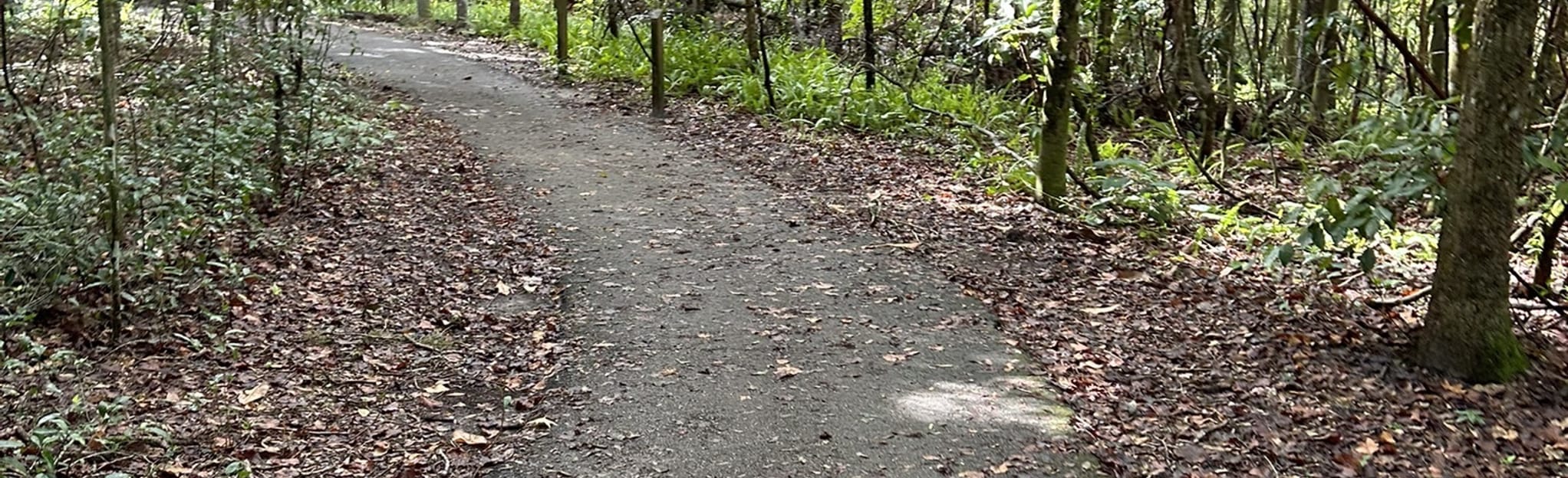 Alpine Groves ParkTrail, Florida - 219 Reviews, Map | AllTrails