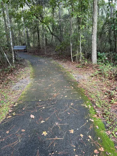 Best Hikes and Trails in Alpine Groves Park | AllTrails
