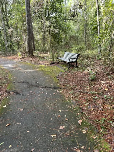 Best Hikes and Trails in Alpine Groves Park | AllTrails