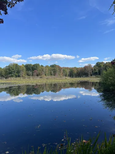 Best Hikes and Trails in Orwell State Wildlife Area | AllTrails