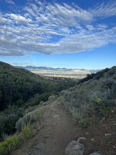 Best Kid Friendly Trails in Corner Canyon Regional Park | AllTrails