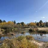 Turtle Rock Loop Trail, Wyoming - 1,078 Reviews, Map | AllTrails
