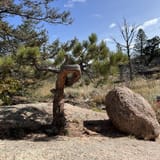 Turtle Rock Loop Trail, Wyoming - 1,078 Reviews, Map | AllTrails