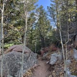 Turtle Rock Loop Trail, Wyoming - 1,078 Reviews, Map | AllTrails