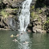 Waimea Valley Trail, Oahu, Hawaii - 1,426 Reviews, Map | AllTrails
