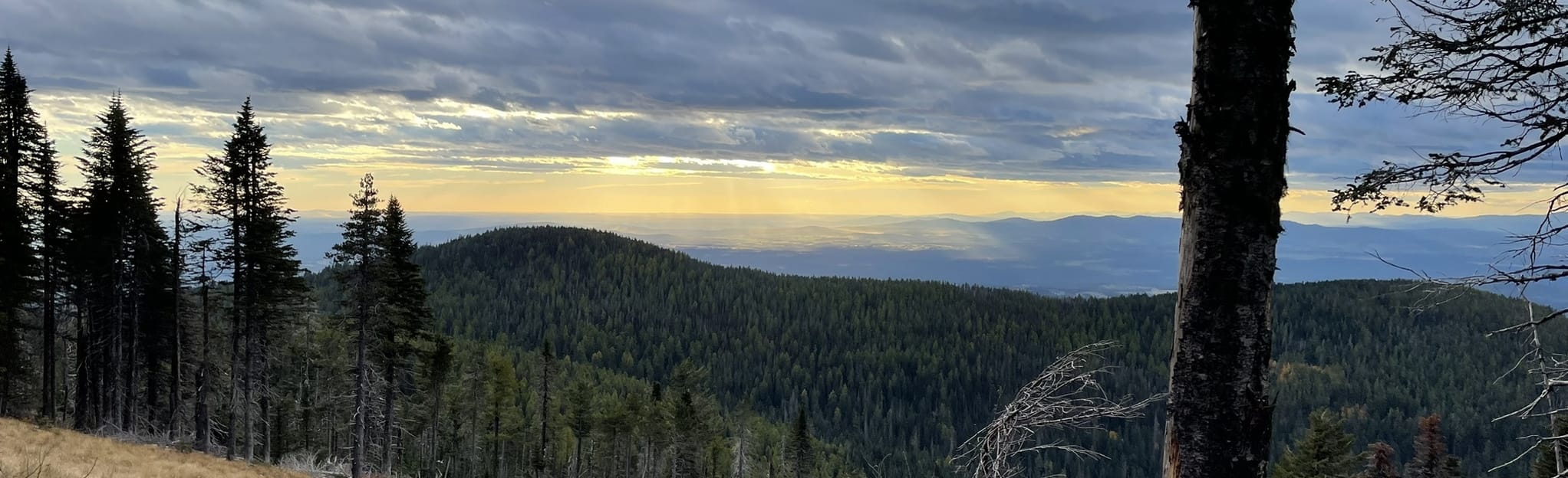 Mount Spokane Summit - Saddle Junction Trail, Washington - 90 Reviews ...