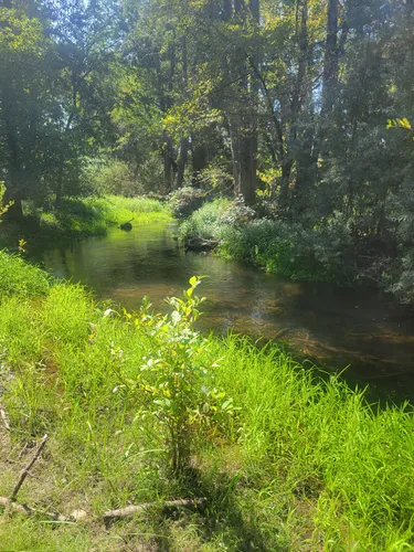 Best Hikes and Trails in Wallace | AllTrails