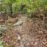 Appalachian Trail: Keys Gap to David Lesser Memorial Shelter, West ...