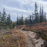 Curry Ridge Trail, Alaska - 756 Reviews, Map | AllTrails
