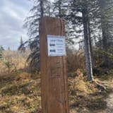 Curry Ridge Trail, Alaska - 822 Reviews, Map | AllTrails