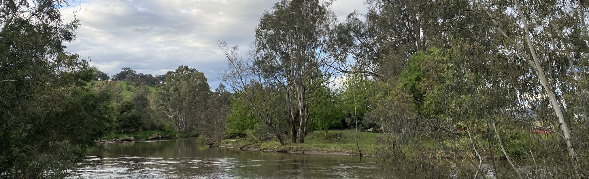 Riverglade Wetlands and Tumut River Walk: 11 foto's - Nieuw-Zuid-Wales ...