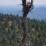 Crane Mountain Loop Hike, New York - 1,315 Reviews, Map | AllTrails