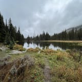Moose Ponds Trail, Wyoming - 1,063 Reviews, Map | AllTrails
