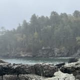 Compass Harbor Trail, Maine - 650 Reviews, Map | AllTrails