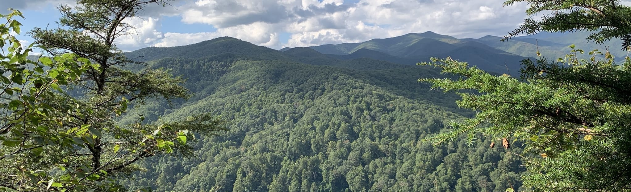 Kitsuma and Point Lookout Loop, North Carolina - 203 Reviews, Map ...