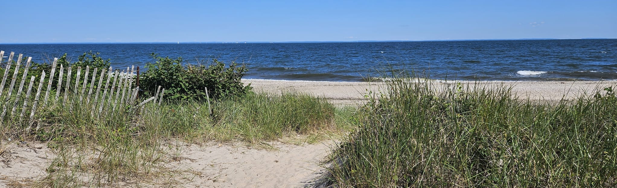 Cedar Beach Trail, New York - 316 Reviews, Map | AllTrails