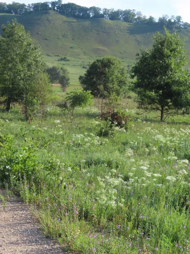 Best Hikes and Trails in Spring Green Preserve State Natural Area ...